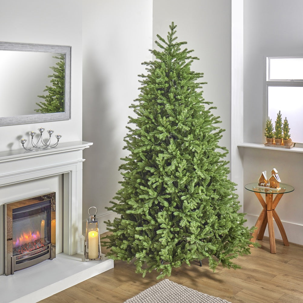 6.5FT Princeton Fraser Fir - National Tree Company | AT103 – Yorkshire ...